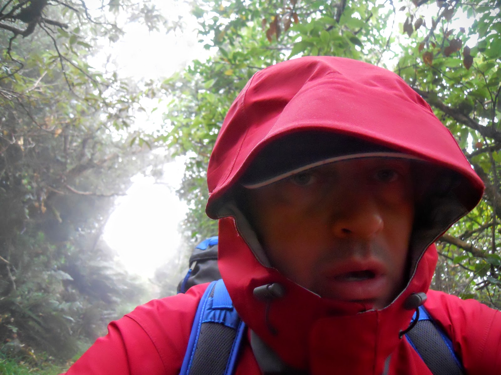 Tramping in the New Zealand backcountry: NZ Bush Adventures: My ...