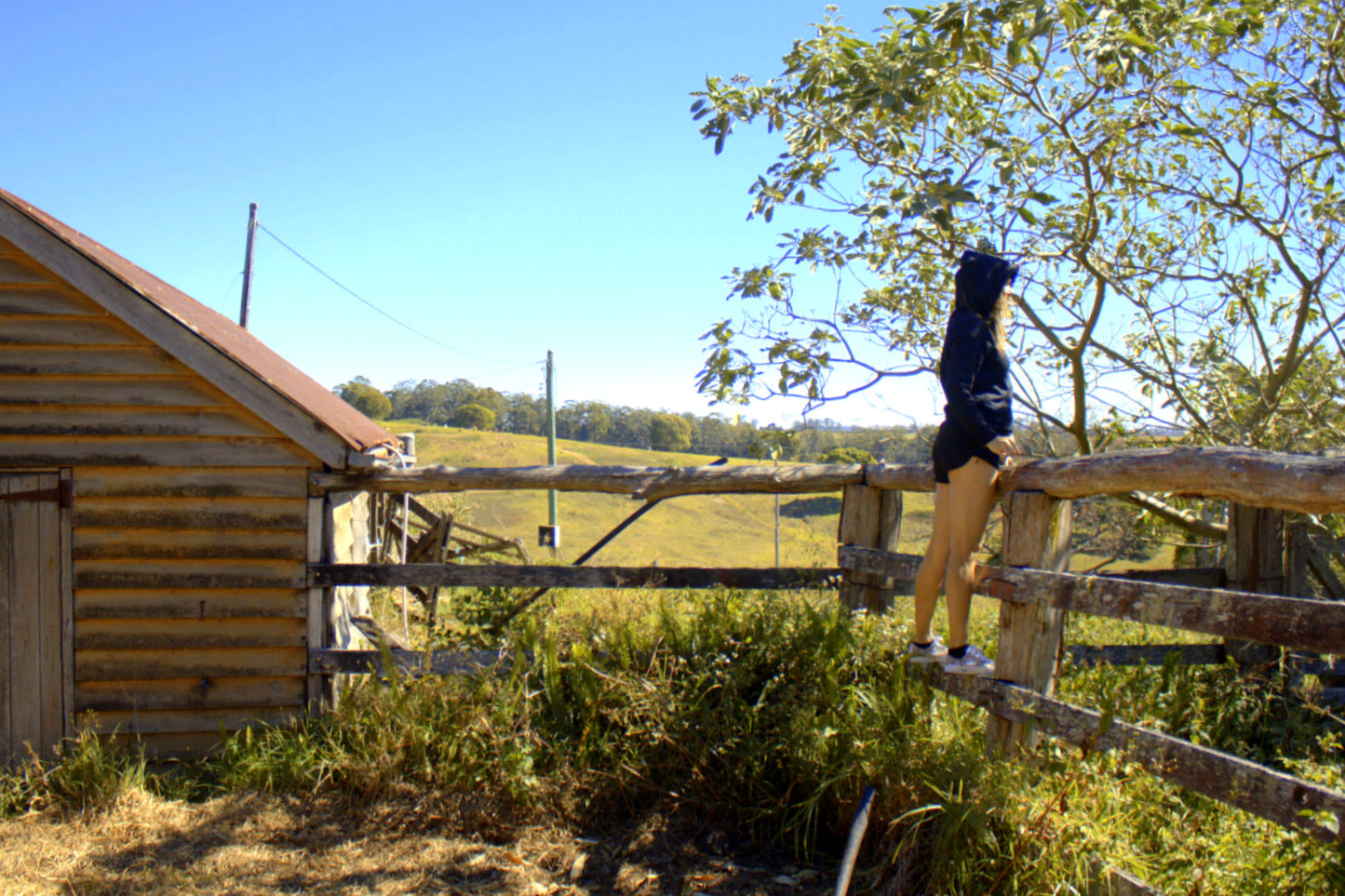 PhotosbyCris : The Scenic Rim