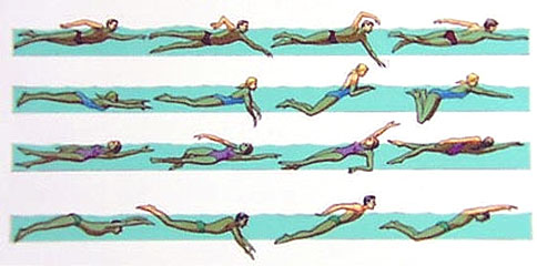 sports@fresh: Back Crawl Swimming Technique