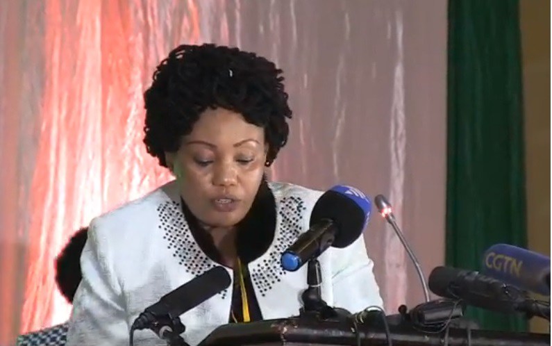 CHIGUMBA STICKING TO THE LAW : EU MISSION newsdzeZimbabweNewsdzeZimbabwe