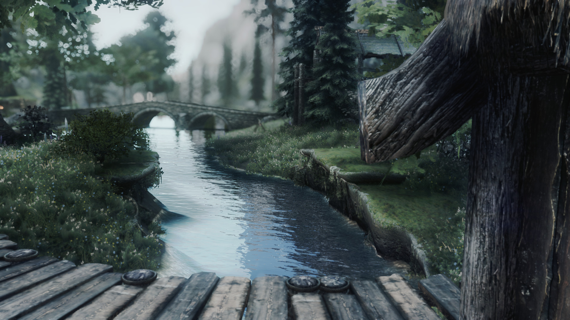 ENB Test : Essentia ENB