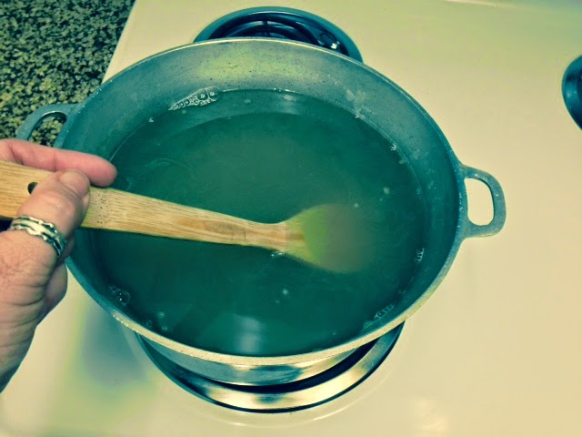 Who's Who and Who's New: Discovering Gelatin and Colors!