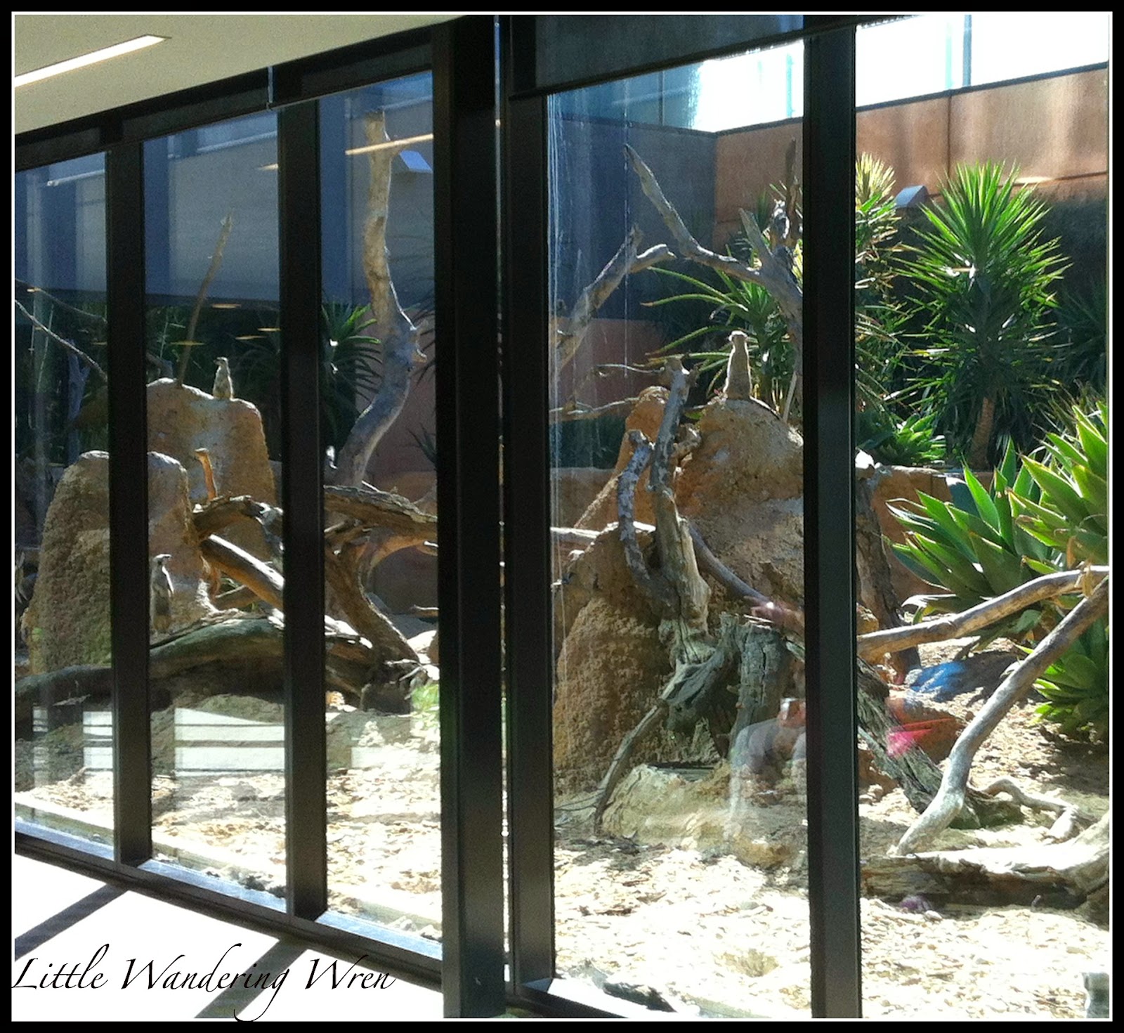 Good Friday Royal Children's Hospital Appeal, Melbourne