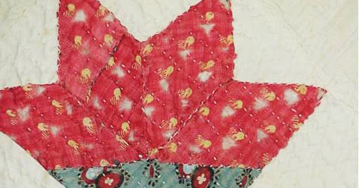 Cloud of Quilt Patterns: Oldest Carolina/Cleveland Lily Quilts