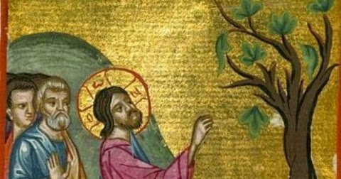ORTHODOX CHRISTIANITY THEN AND NOW: The Meaning of the Withered Fig ...
