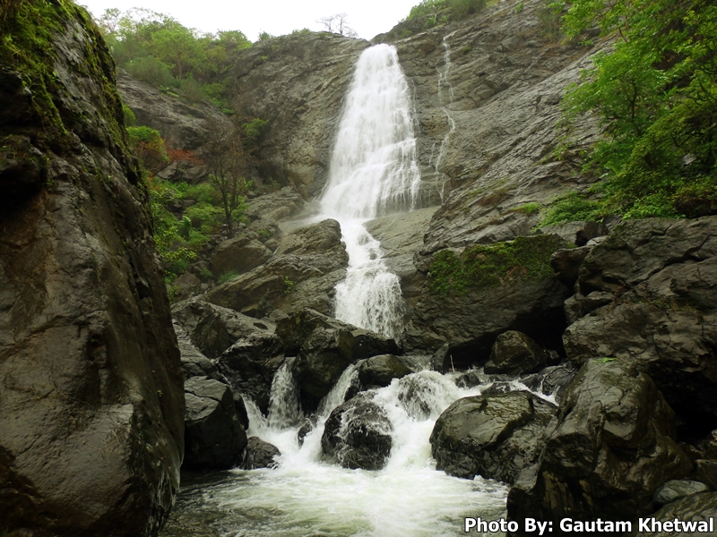 Treks around Thane and Mumbai: July 2016