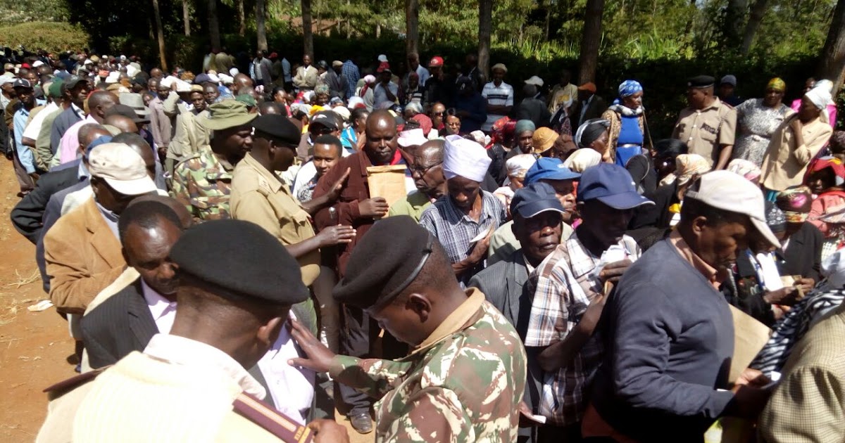 Nanga Farm gets new directors amid highly charged elections. - Thika ...