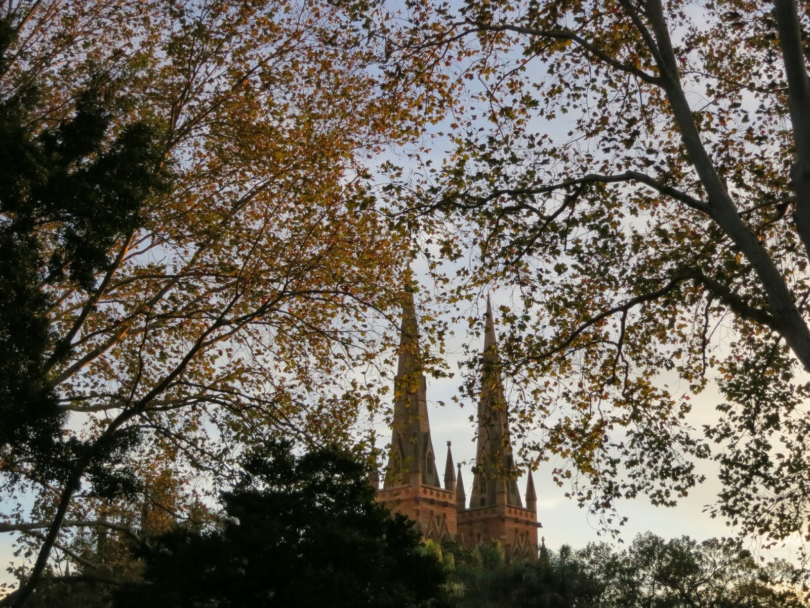 Sydney - Australia: Autumn in Sydney