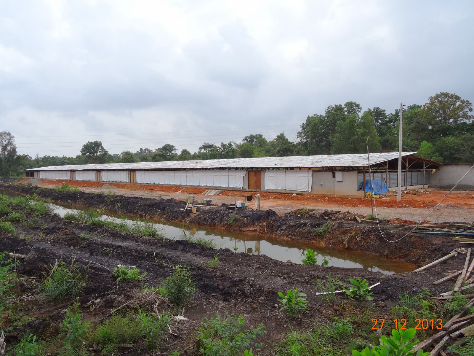 OBO: Pusingan Pertama: Projek Ternakan Ayam Pedaging Sistem Reban ...