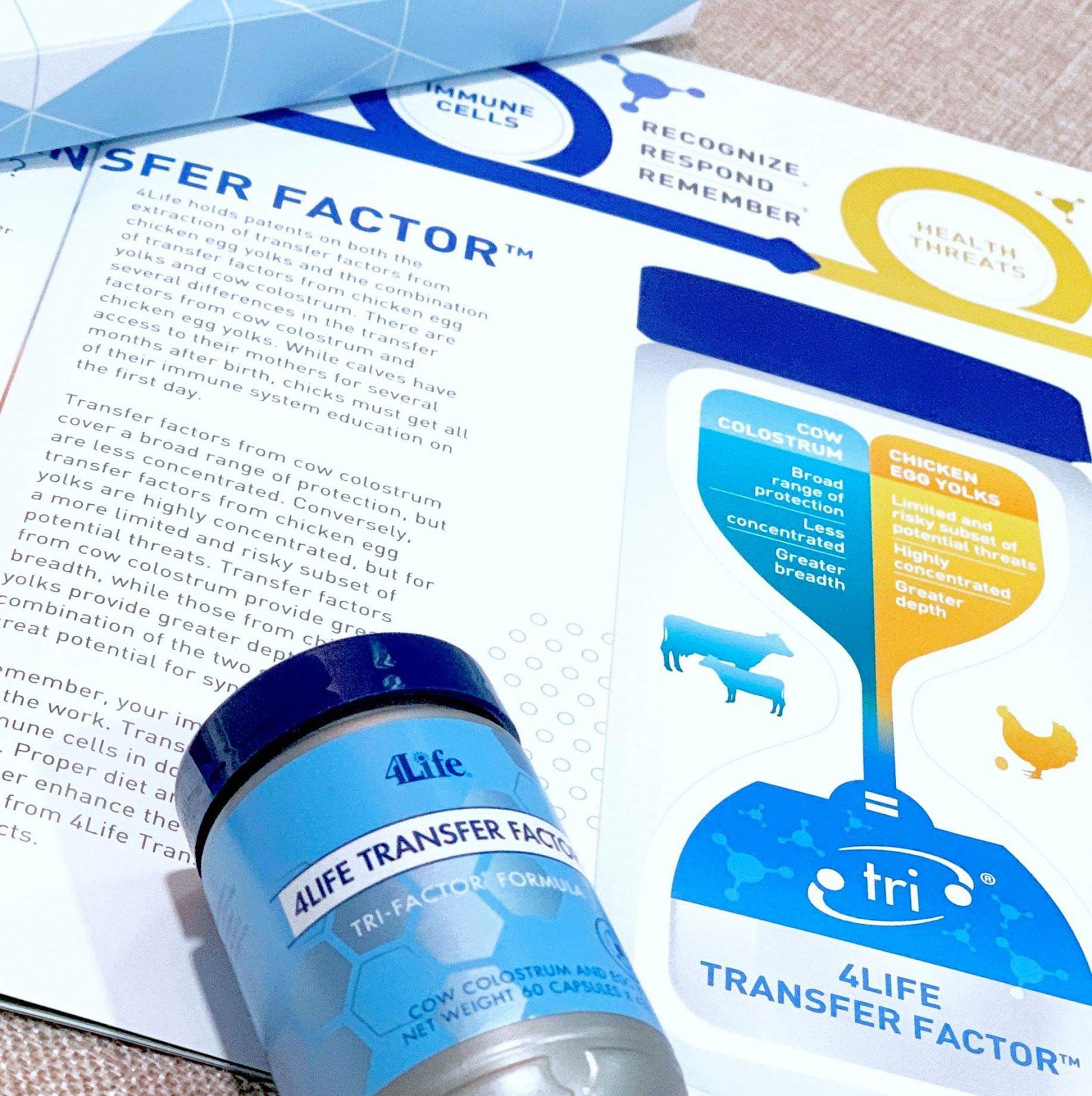 4LIFE TRANSFER FACTOR MALAYSIA
