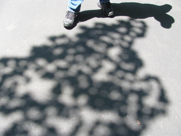 1000+ images about dappled light on Pinterest | Shadows, Jean nouvel ...