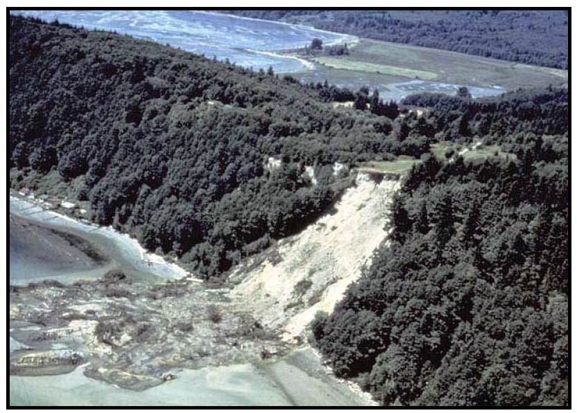 Reading the Washington Landscape: Old Landslide Run Outs on Whidbey Island
