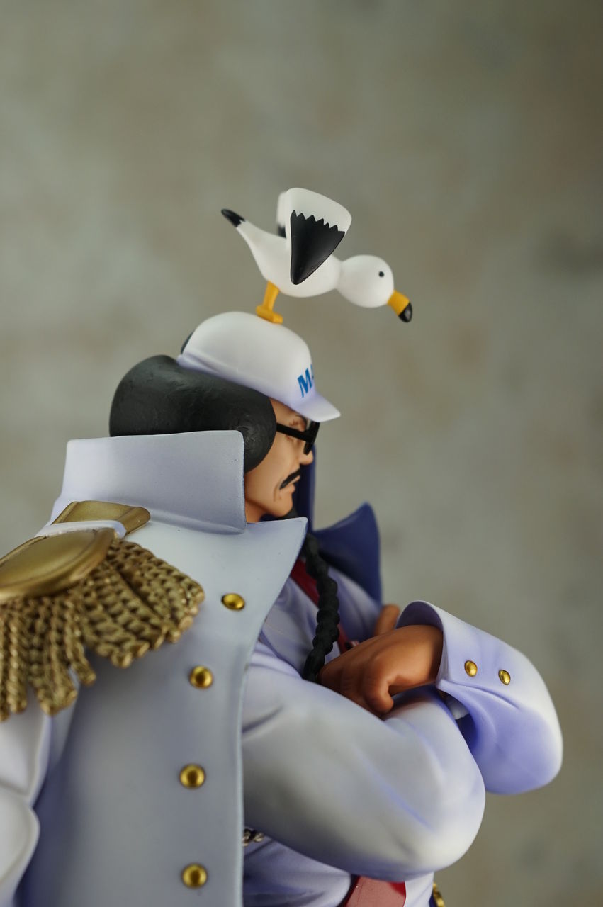 ZOOM! Sengoku Limited Edition