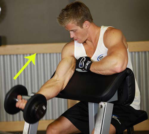 Preacher Curls - Bicep Exercises | Arm Workouts With Height