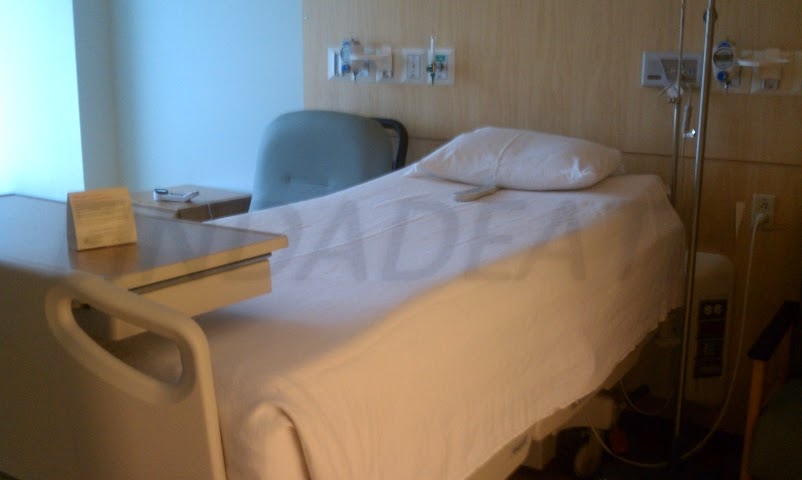 Dearly Departed Tours Hollywood: Roy Scheider 1932 - 2008 Findadeath ...