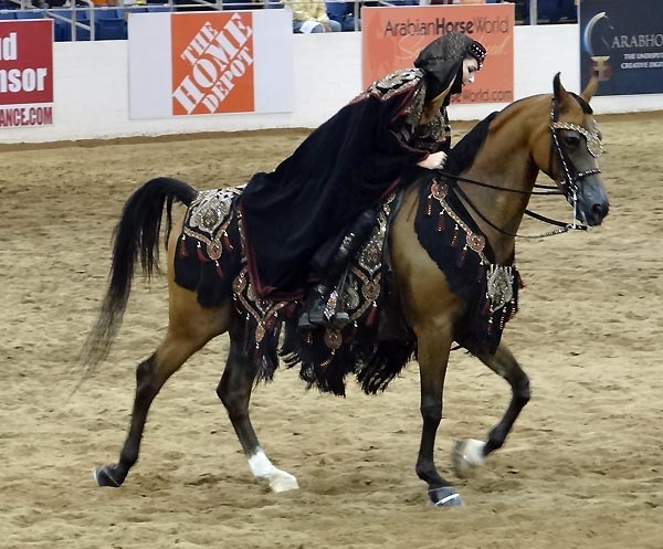 Reflections From the Fence: THE Trip, THE Encore' :: Scottsdale Arabian ...