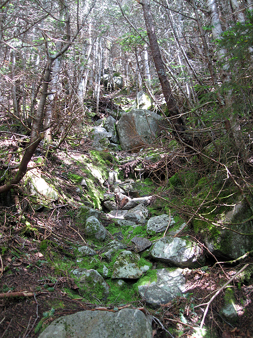 Hiking in the White Mountains: The Abandoned Adams Slide Trail