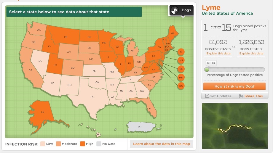 Kaukauna Veterinary Clinic News and Articles: Parasite Prevalence Maps