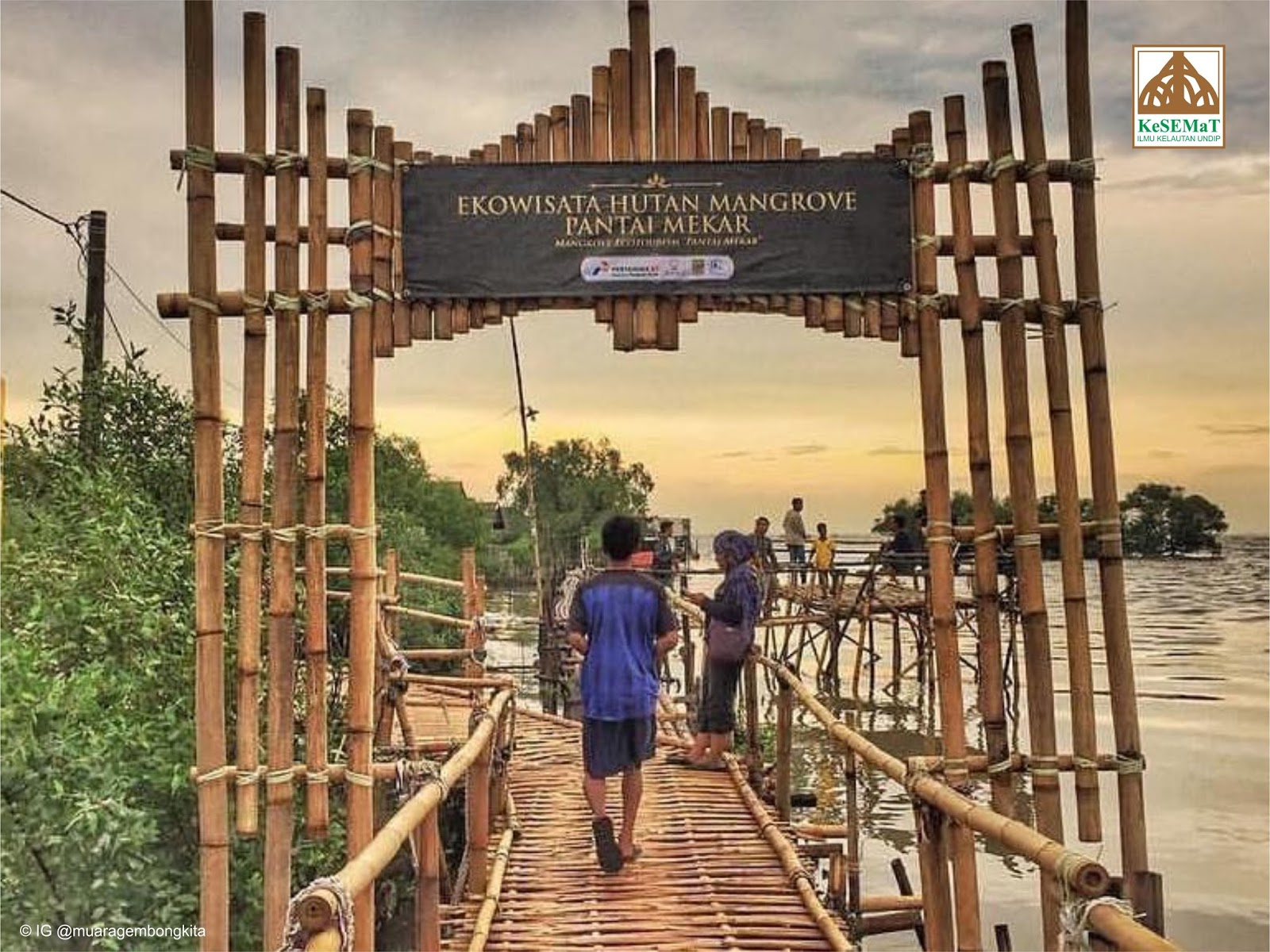 Pantai Mekar Bekasi - Perumperindo.co.id