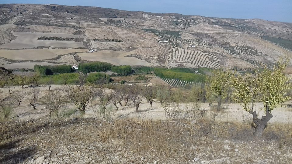 A VISTA DE PÁJARO...: Río Cacín