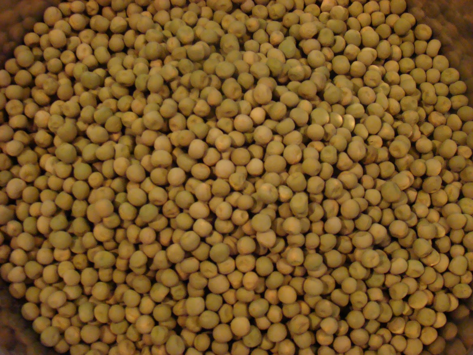 My Favorite Recipes Collection: Legumes & Pulses