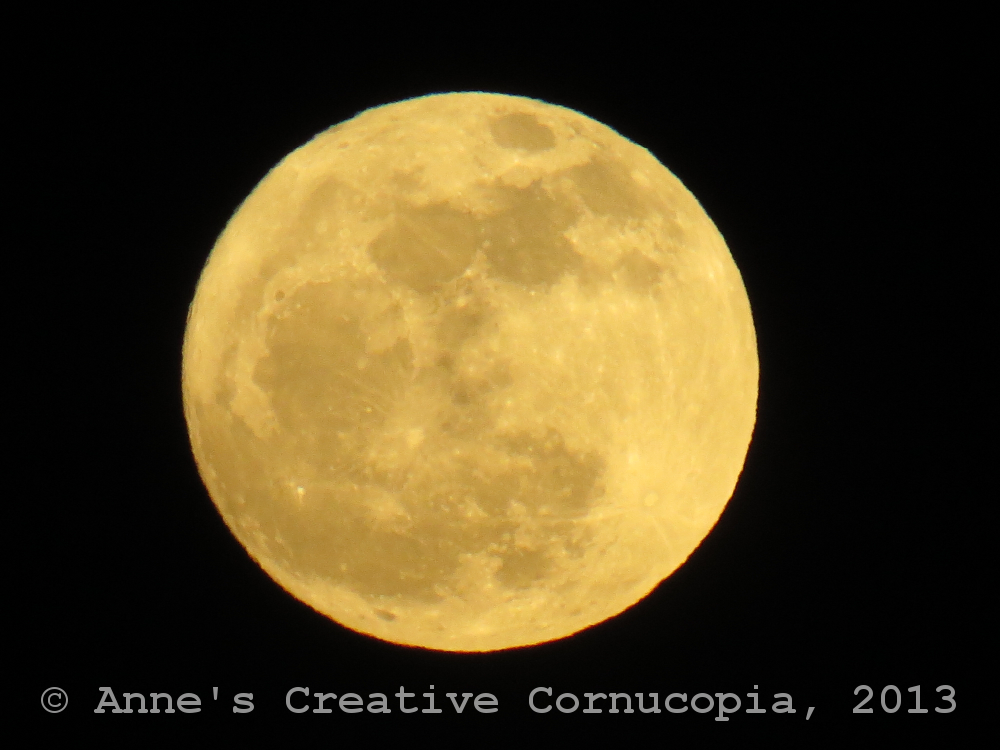 Anne's Creative Cornucopia: Amber Moon - Photographs