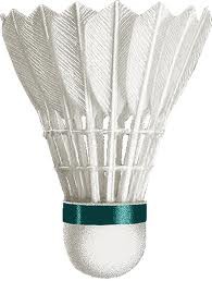 TODO SOBRE EL BADMINTON: MATERIAL NECESARIO