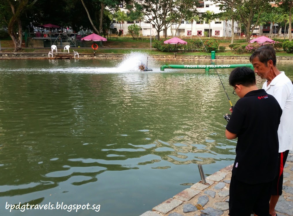 ~ Kelong Fishing, Prawning and Crabbing Paradise @ Pasir Ris Town Park ...