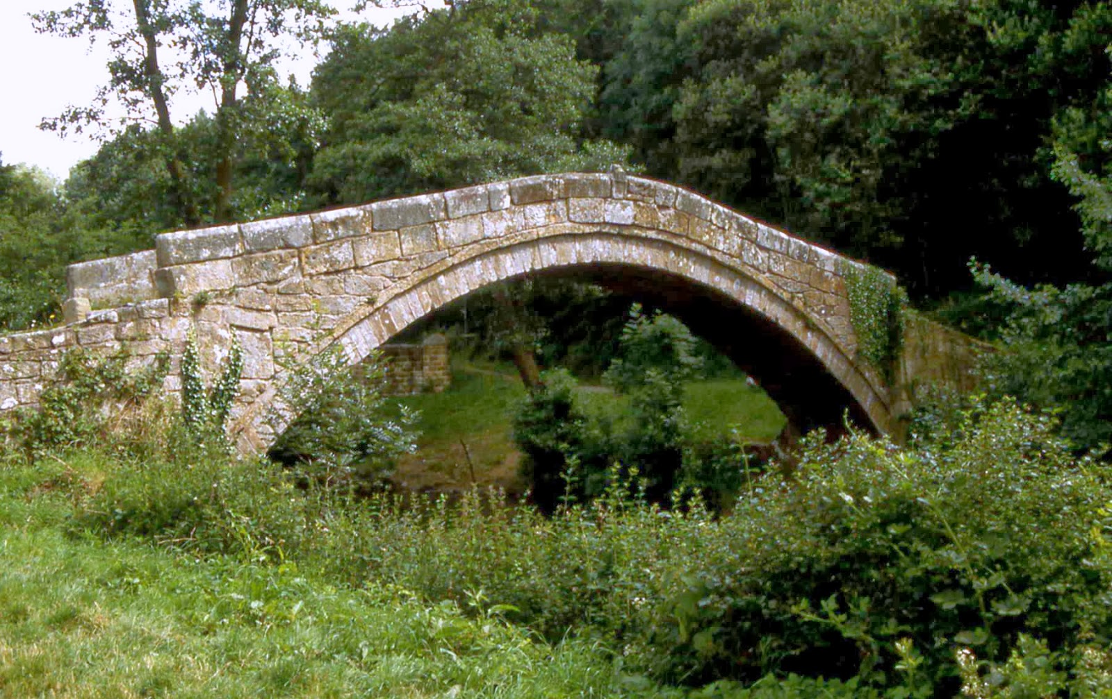 Roy's blog: SOME UNUSUAL BRIDGES 3