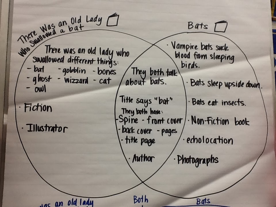 Mrs. Bayley's Kindergarten Kids: Comparing Stories