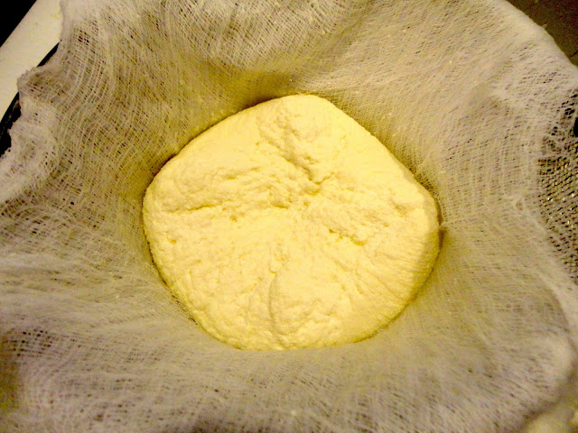 How to Make Cottage Cheese with Sour Milk! - Rosie Discovers