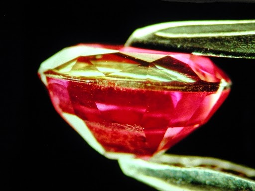 SDI: Where Creativity Meets Excellence.: RUBY - The Undisputed King of ...