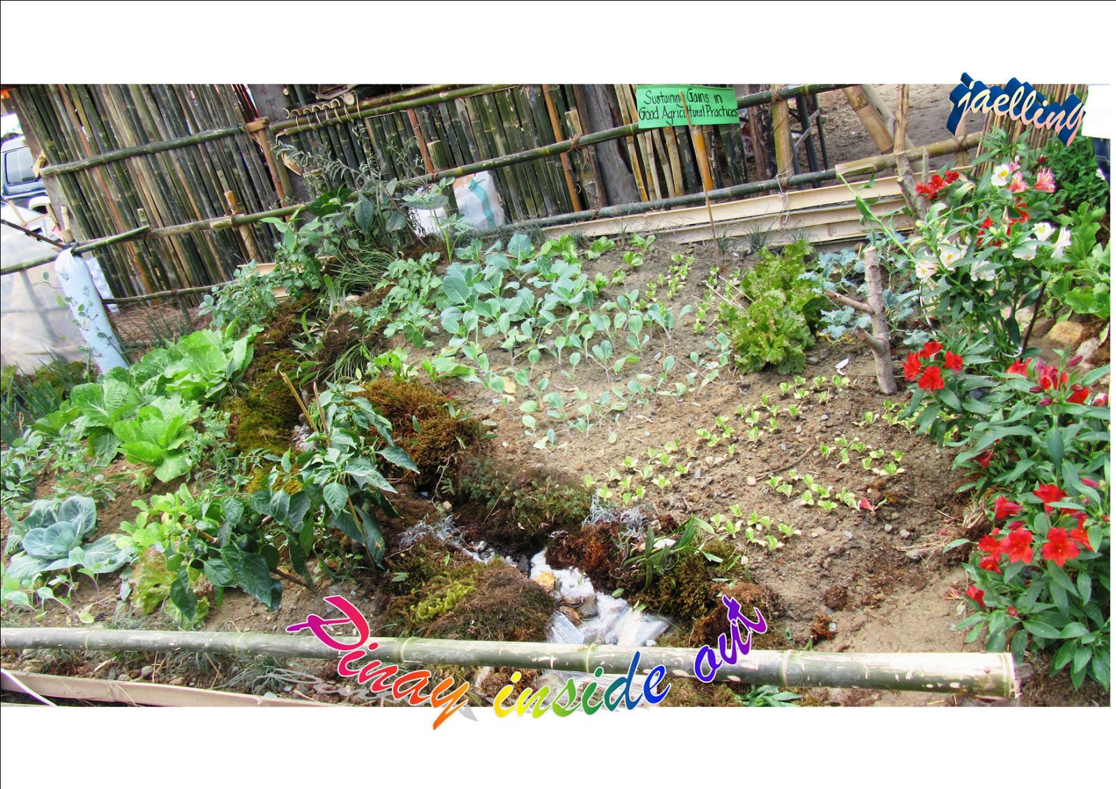 Booth of Buguias, Benguet - Adivay 2015