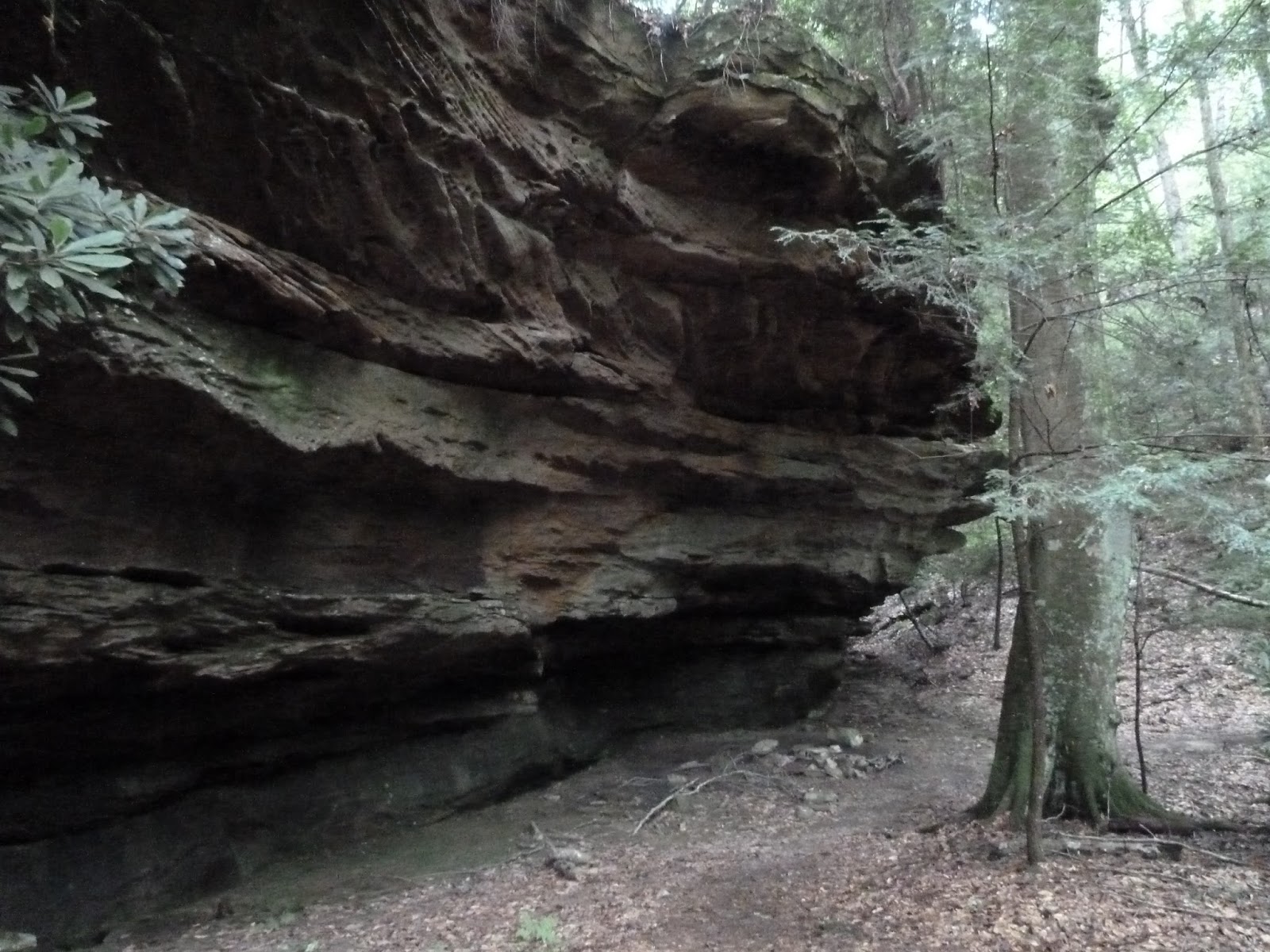 Tex's Luavull Cycling: Big South Fork Bikepack- Bandy Creek car camp ...