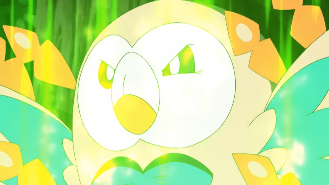 Poké-Arquivo: 722 - Rowlet ↳ Animes ~ PMD || Acervo de Imagens de ...