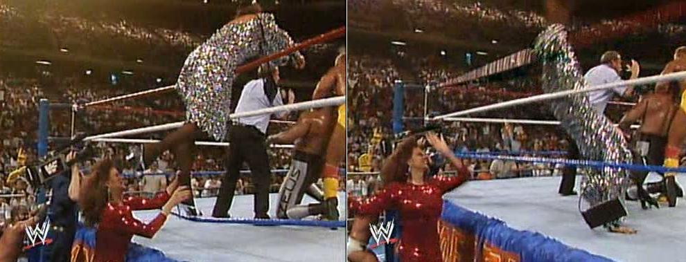 Wrestlemania para siempre: SummerSlam (1989)