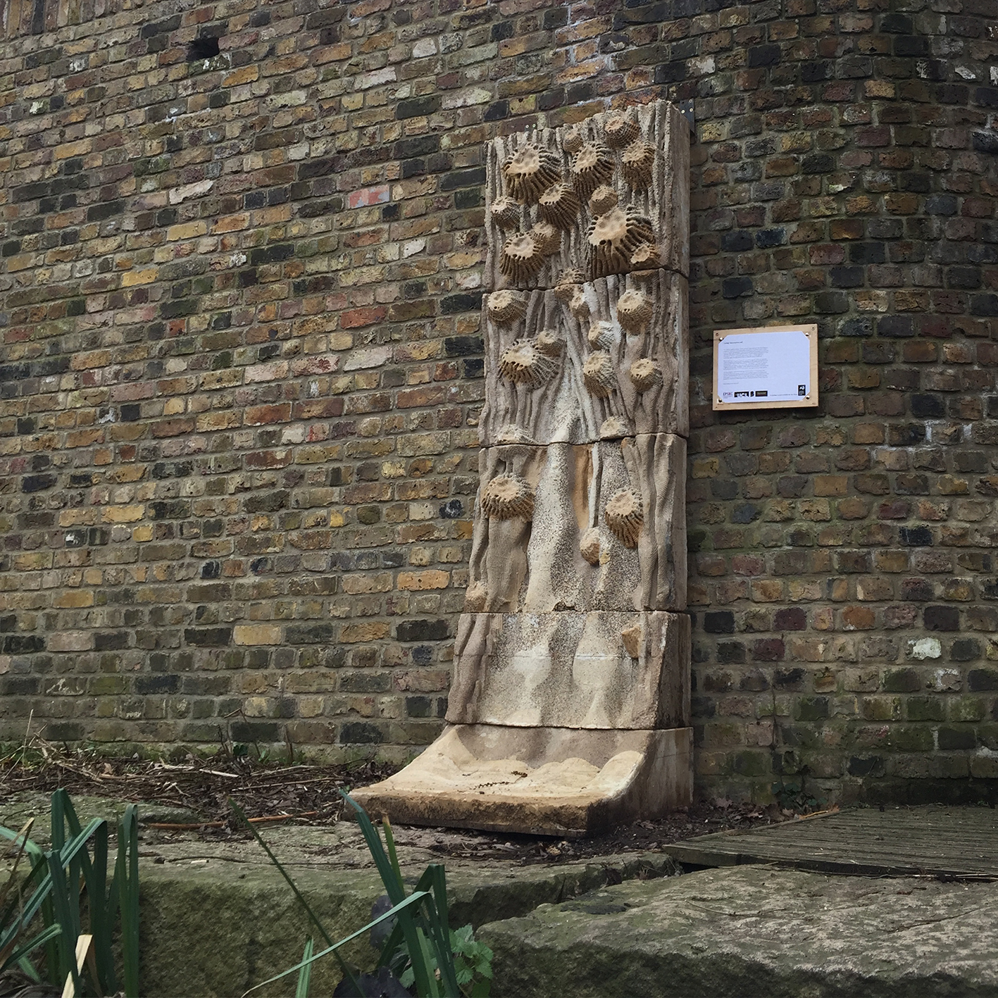 Marcos Cruz Architect