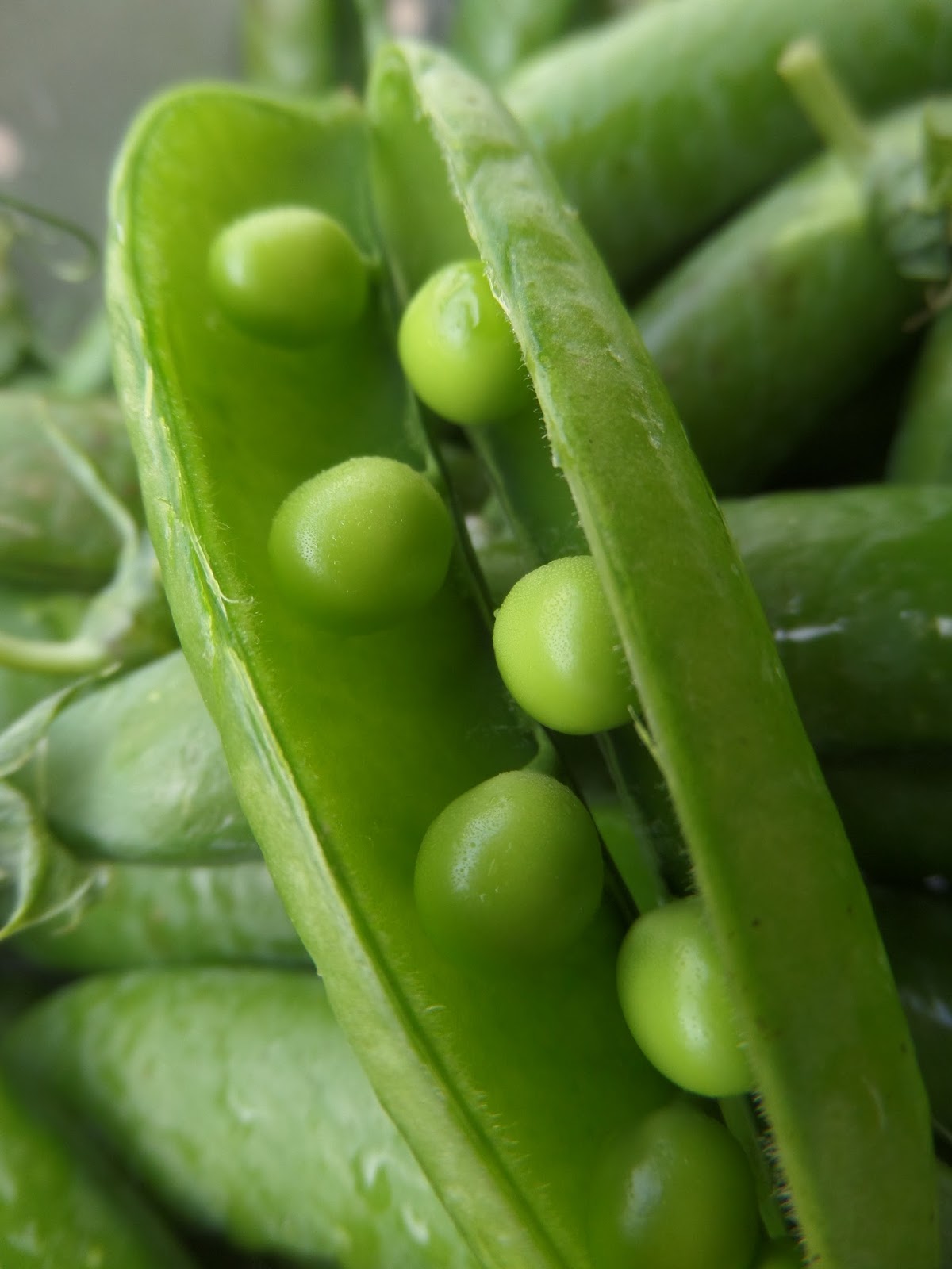 No-waste recipe : Pea pods soup // Recette anti-gaspi : la soupe de ...