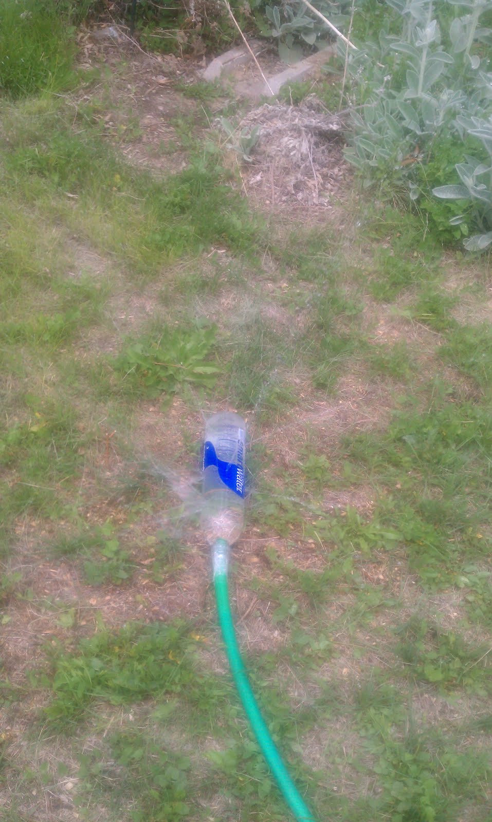 desiree's time out: DIY Sprinkler