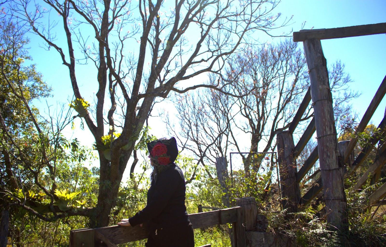 PhotosbyCris : The Scenic Rim