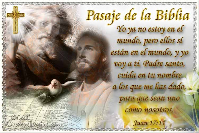 Vidas Santas: Santo Evangelio según san Juan 17:11