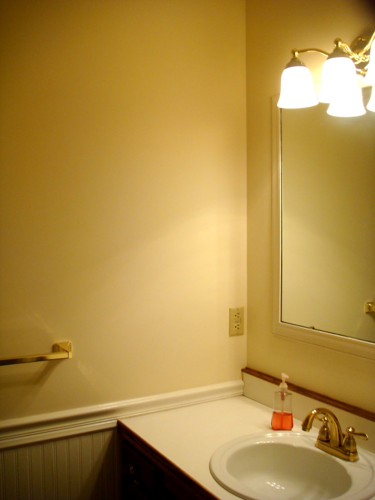 Sweet Magnolia Way: A Powder Room with Punch - Makeover Part One