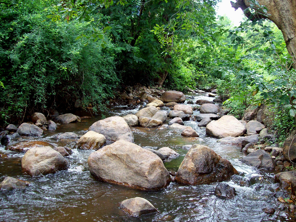 Tamilnadu Tourism: Kalakkad Mundanthurai Tiger Reserve, Thirunelveli