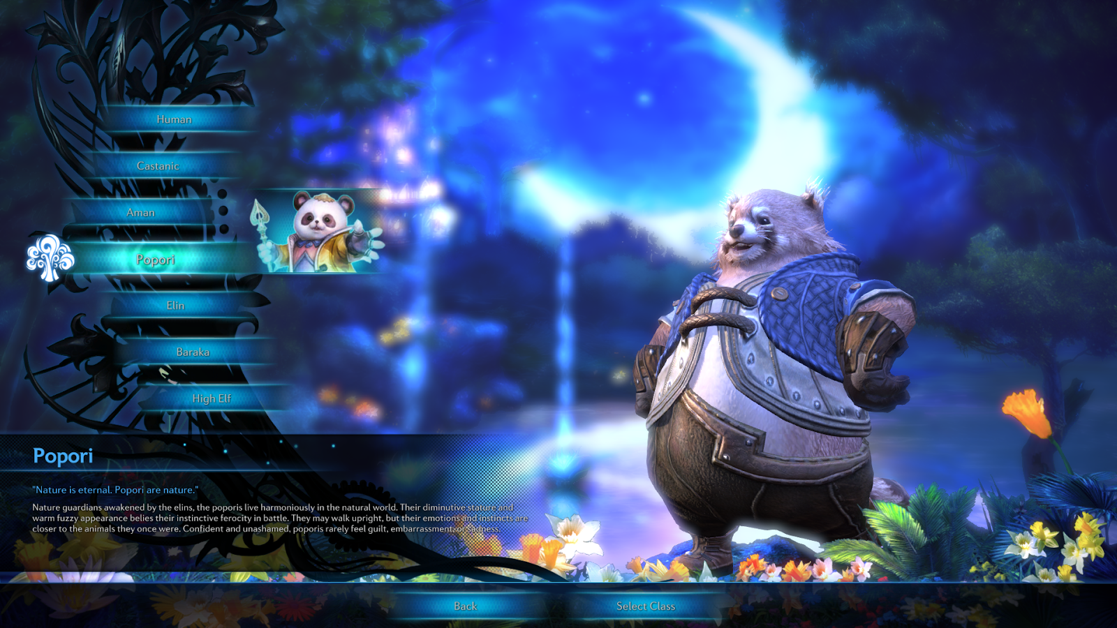 Devon Stinson: TERA: character creation guide