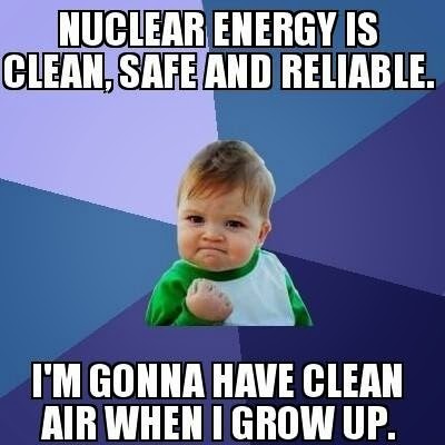 Should we build more nuclear power plants?