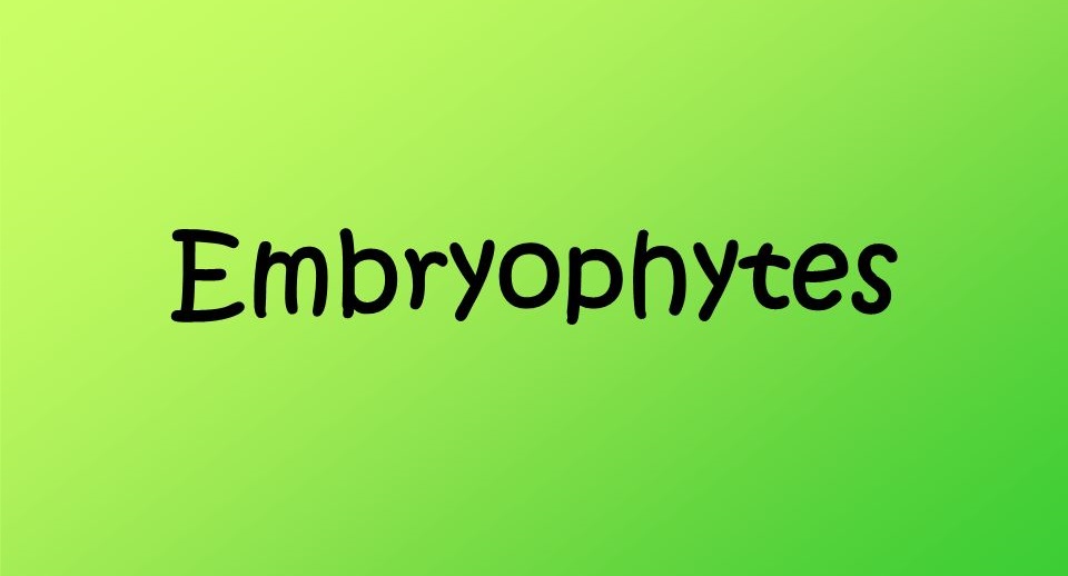 TP biologie végétale SVT S2 - Les embryophytes | Bio faculté