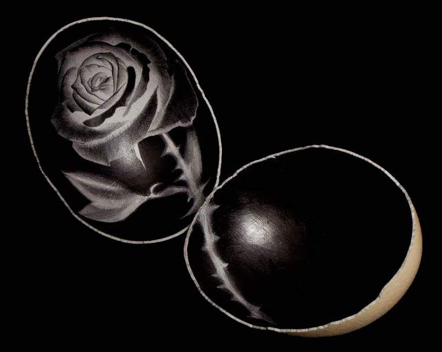 If It's Hip, It's Here (Archives): Scott Campbell Breaks Out Of His ...