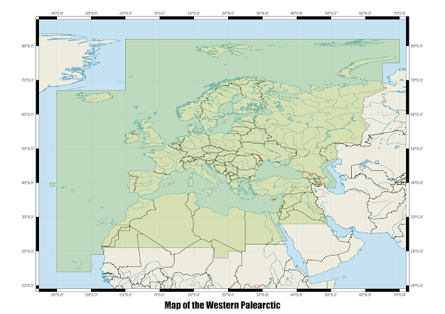 The Little Stint: The boundaries of the Western Palearctic and the ...