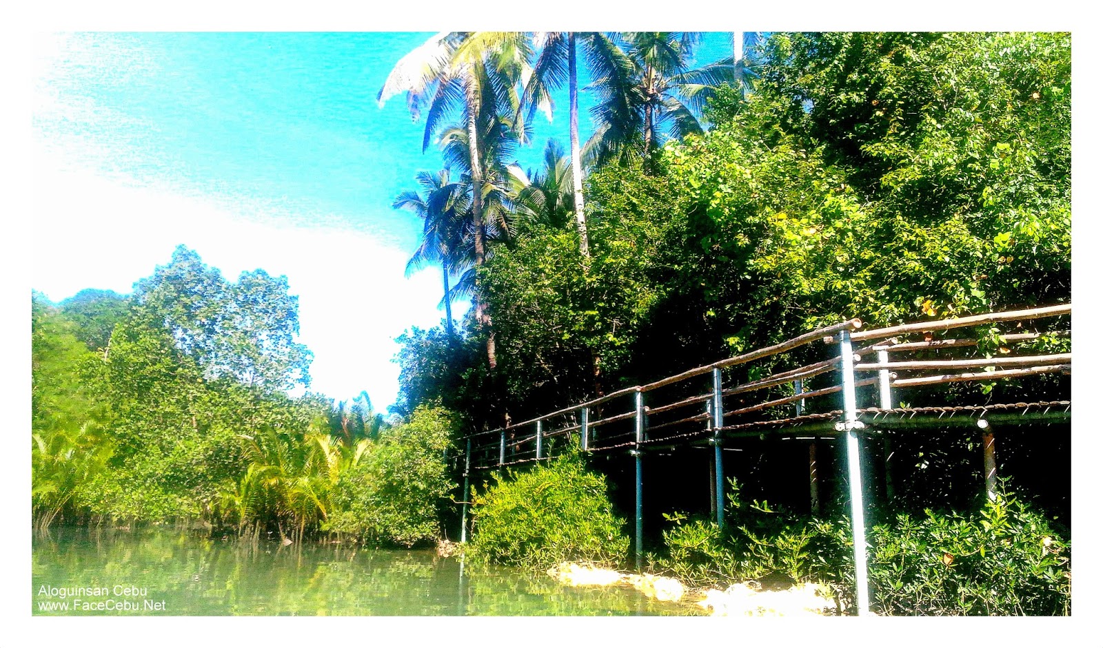 Mini Palawan Of Cebu, Bojo River of Aloguinsan - FaceCebu | Cebu ...