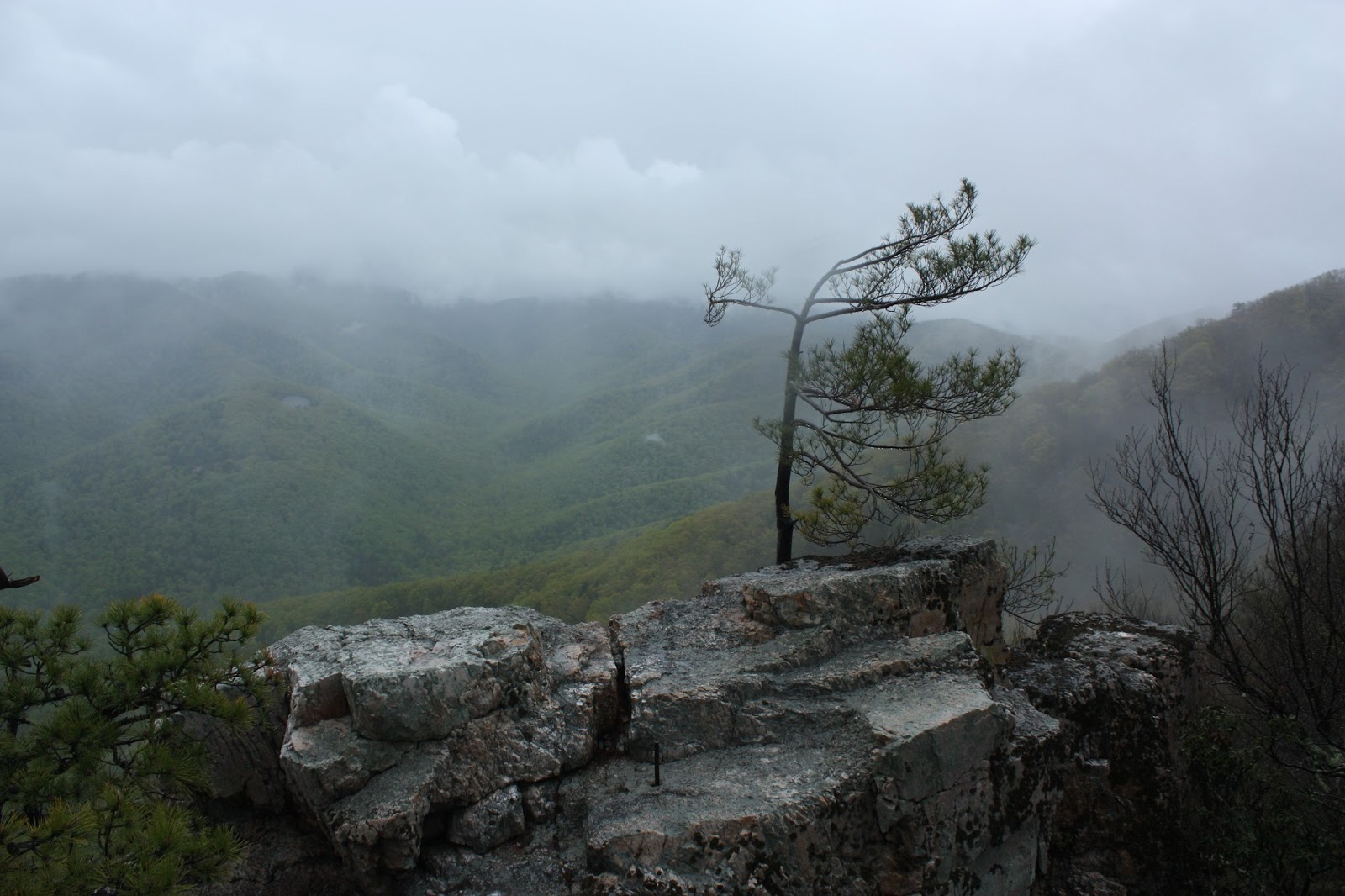 Hiking Shenandoah: Riprap Trail